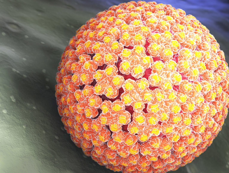 hpv-col-uterus-gyneco | GynécoMarseille